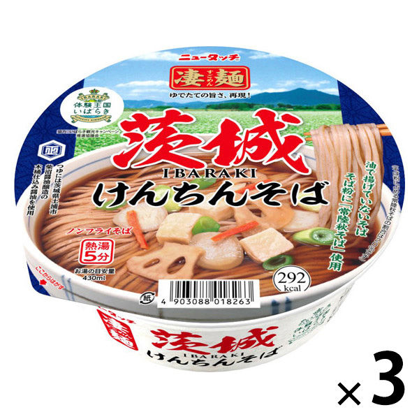 凄麺 茨城けんちんそば 107g 3個 ヤマダイ - アスクル