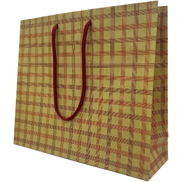 エヒメ紙工 エヒメ デザインペーパーバッグ チェック赤 DBAG-CR 1セット(10枚)（直送品） - アスクル