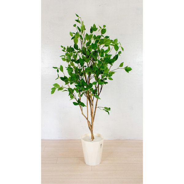 岩や 人工樹木／人工観葉植物 ヨーロピアンビーチ（ブナ） GO-507 1個（直送品） - アスクル