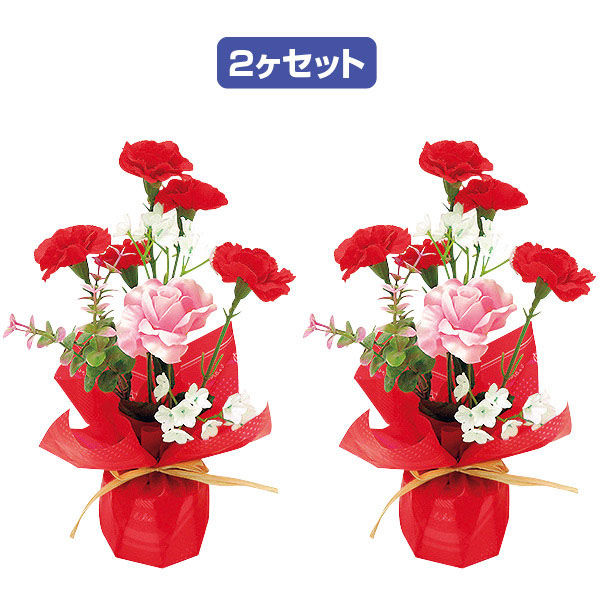 アルファ マザーズデーペアラッピング TE1-1364 1セット（直送品） - アスクル