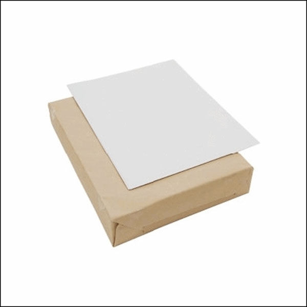 フジテックス 耐水紙300μ A4サイズ 200枚入り XM375A4 1箱（200枚入り）（直送品） - アスクル