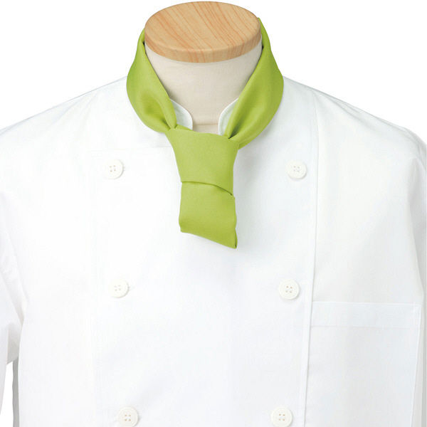 KAZEN（カゼン） スカーフ オリーブ F APK498-C/78 2枚入（直送品） - アスクル