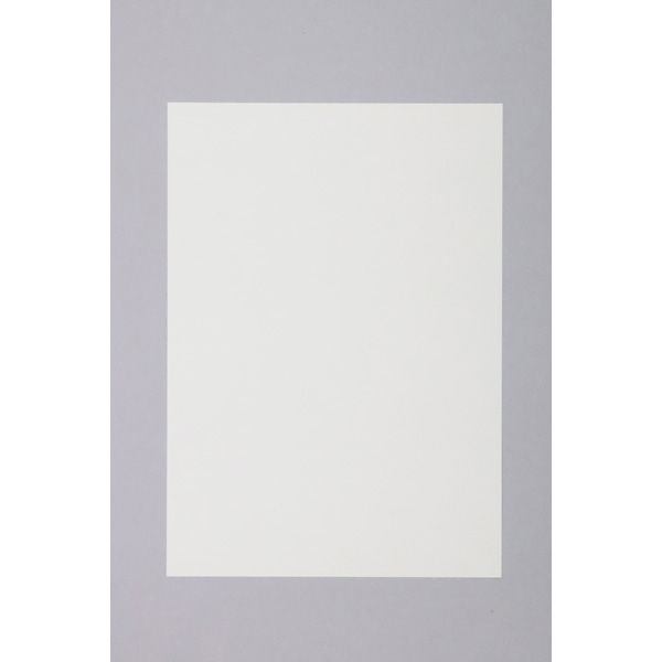 ムトウユニパック IJアイボリー(薄口)10面付 12015909 1箱(50枚入)（直送品） - アスクル