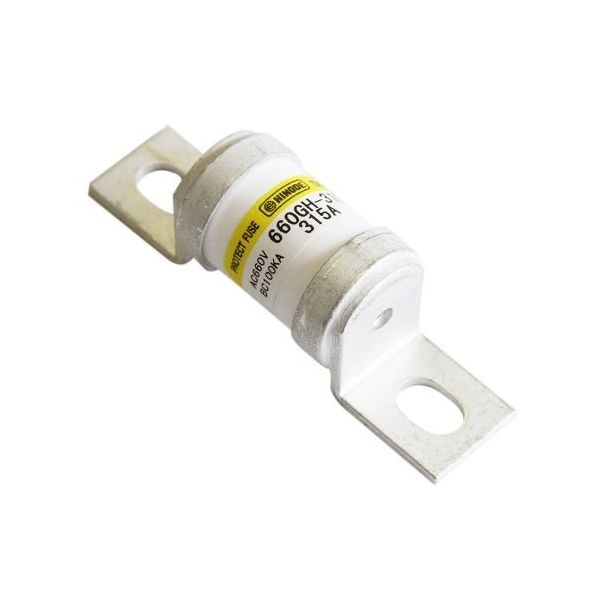 Hinode Electric Co Ltd ボルト固定タグヒューズ， 定格電流 160A 660GH-160ULTC 1個（直送品） - アスクル