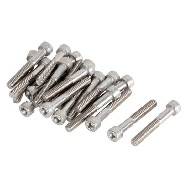 大里 六角穴付きボルト 大容量パック ステンレス(M6×40) HS-Bolt-L 1セット（直送品） - アスクル