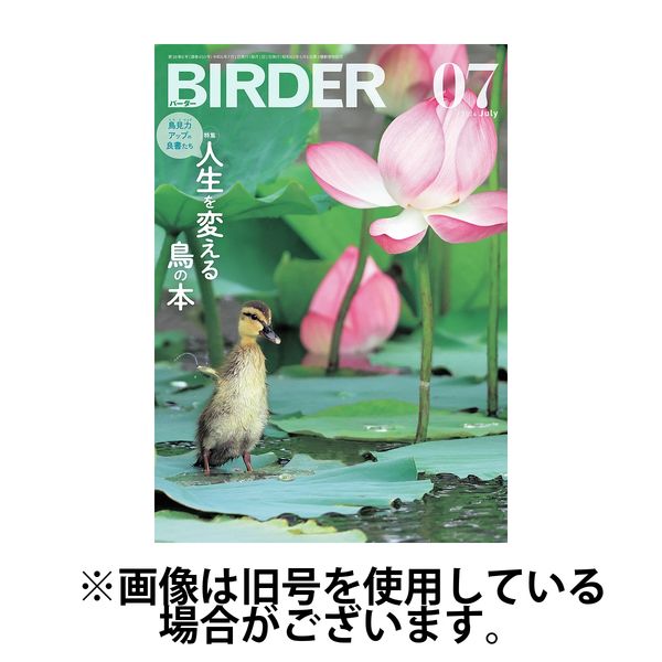 BIRDER（バーダー） 2024/10/16発売号から1年(12冊)（直送品） - アスクル