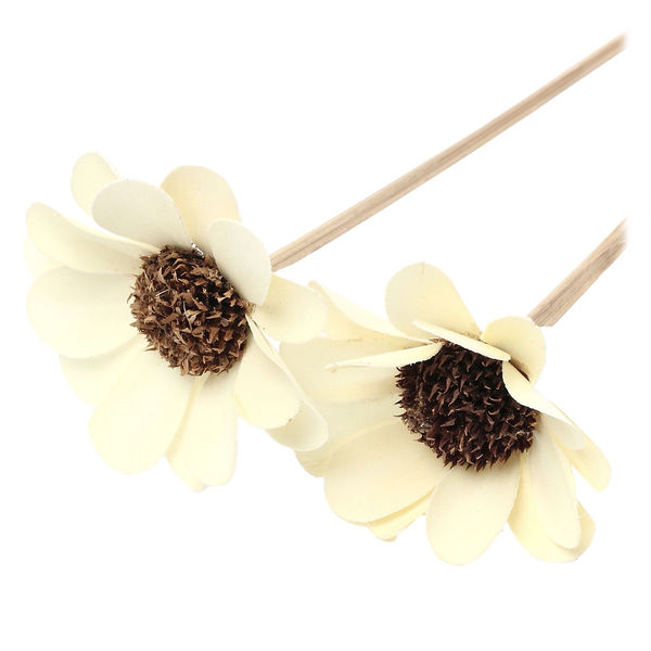 【LAKOLE/ラコレ】 WOOD FLOWER/ウッドフラワー（2P） Margaretホワイト - アスクル