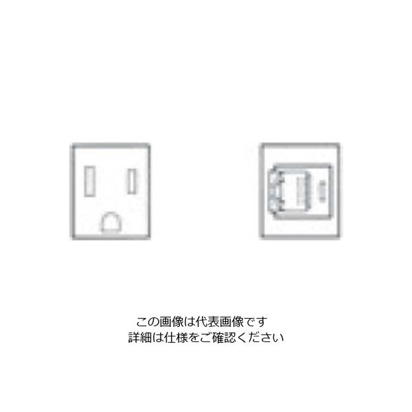 TERADA TSK専用器具ブロック 接地2P15A125V×1 / CAT6モジュラジャック×1 TSK20015 1個（直送品） - アスクル