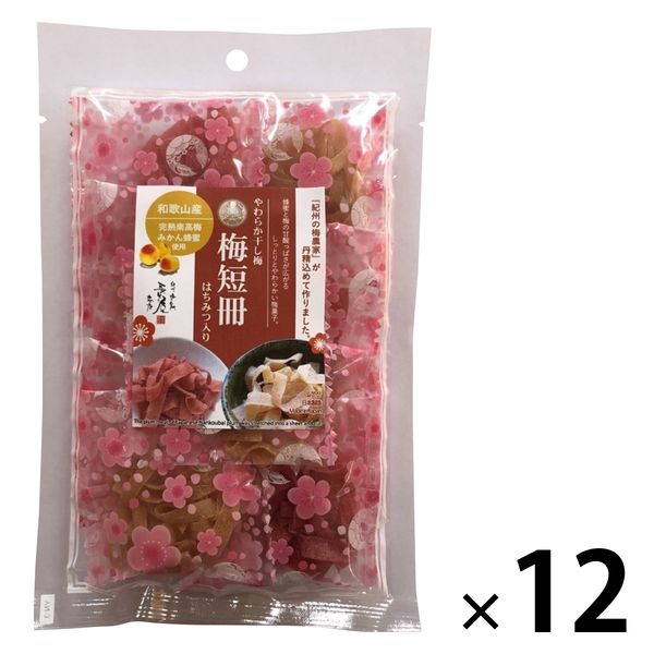塩分商材 塩分補給 おやつ 個包装 やわらか干し梅梅短冊 45g 1セット（1個×12）長生き屋商店 - アスクル