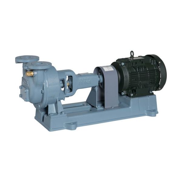 荏原製作所 エバラ NV型 水封式 真空ポンプ 60Hz 口径40mm 40NV63.7C 1台 680-3421（直送品） - アスクル