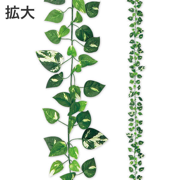 アルファ ニューポトスガーランド TI8-0202 1本（直送品） - アスクル