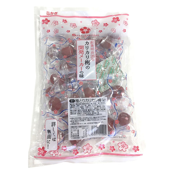 【アウトレット】塩分補給 塩分対策 個包装 赤城フーズ 種なし 種とりカリカリ梅 210g 1袋 赤城フーズ - アスクル
