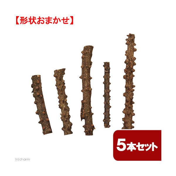 リーフ 形状おまかせ 山椒の木 細枝 ショート 2250002313709 1 リーフ 形状おまかせ 山椒の木 細枝 ショート 2250002313709 1