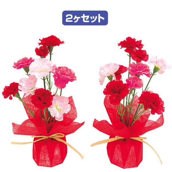 アルファ カーネーションペアラッピング TE1-1370 1セット（直送品） - アスクル