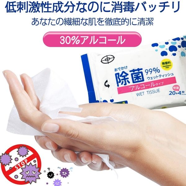 ナカタケトレーディング ウェットティッシュ20枚入り+4枚 ナカタケトレーディング ウェットティッシュ20枚入り+4枚