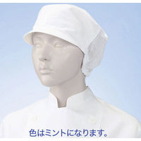 【衛生帽子】 KAZEN ネット付キャップ ミント APK484-C2 ミントグリーン フリー(最大65cm) 1袋（2枚入） - アスクル