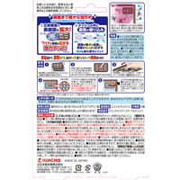 虫コナーズ 網戸用 貼るタイプ 366日 屋外 虫よけ ネット 虫除け 2個入 KINCHO キンチョー - アスクル