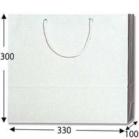 シモジマ ブライトバッグ GM 白 006137901 1袋(10枚) - アスクル