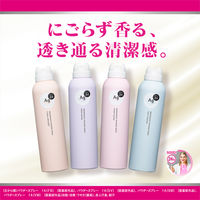 Ag DEO24（エージーデオ24） デオドラントスプレー シュシュグラニテ L 医薬部外品 142g ファイントゥデイ - アスクル