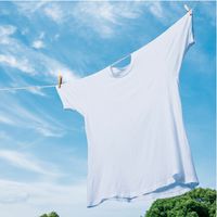 P&G アリエール液体洗剤セット PGCG-15E 1個（直送品） - アスクル