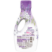 【数量限定】ボールドジェル 液体 ホワイトラベンダー＆ジャスミン 本体 630g 1個 洗濯洗剤 P＆G - アスクル