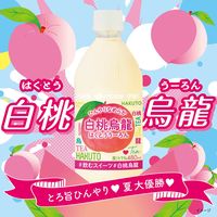 伊藤園 ひんやりなめらか 白桃烏龍 480ml 1箱（24本入） - アスクル