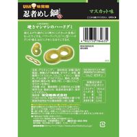 グミ 食べきりサイズ 忍者めし鋼 マスカット 45g 1セット(1個×10) UHA味覚糖 - アスクル