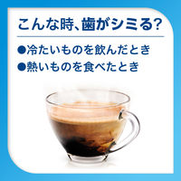 シュミテクト やさしくホワイトニングEX 〈1450ppm〉95g Haleonジャパン 歯磨き粉 薬用高濃度フッ素配合 - アスクル