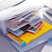 リヒトラブ ドキュメントケース A4 ホワイト G5601-0 1冊 - アスクル