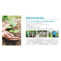 グラフィック エプソン（EPSON）用 リサイクルトナー LPB3T31 カーボンオフセット付き 1個（直送品） - アスクル