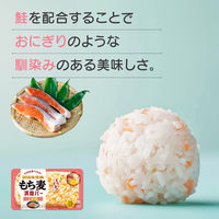 もち麦満腹バーごま鮭 1セット（1袋×10） UHA味覚糖 - アスクル