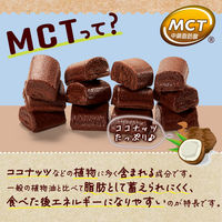 Light＜ベイクドショコラ＞ 117g 1セット（1袋×3） 森永製菓 チョコレート - アスクル