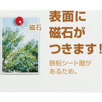マグエックス どこでもホワイトボードシート L MKS-B4L 1枚 - アスクル