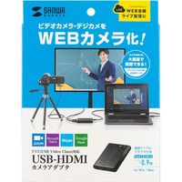 サンワサプライ HDMIキャプチャー(USB3.2 Gen1・4K パススルー出力付き) USB-CVHDUVC3 1個 - アスクル
