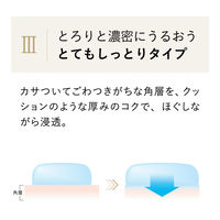 ELIXIR（エリクシール） リフトモイストローション SP III 170mL 医薬部外品 資生堂 - アスクル