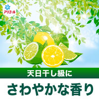 アリエール ジェル 部屋干しプラス 本体 690g 1個 洗濯洗剤 P＆G【旧品】 - アスクル